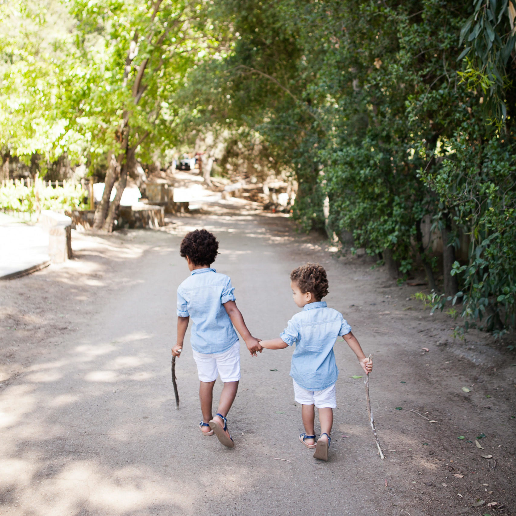 Encouraging Healthy Sibling Relationships - Breegan Jane