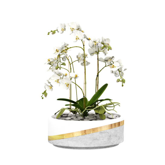 Introducing the Breegan Jane NFT Interior Design Collection! - Interior ...